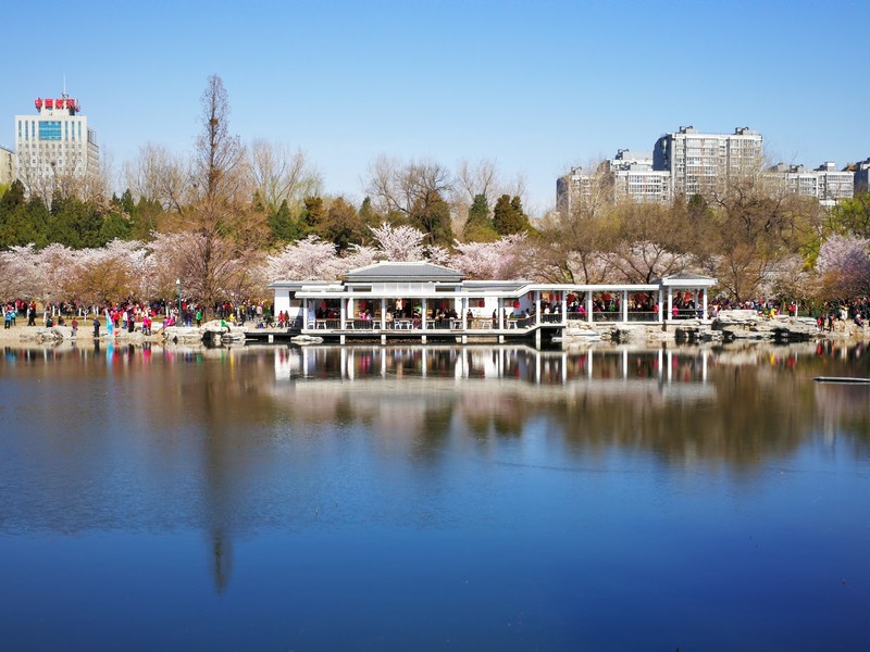 华为(huawei)Mate 9（MHA-AL00/4GB RAM/全网通） 样张图-ZOL中关村在线