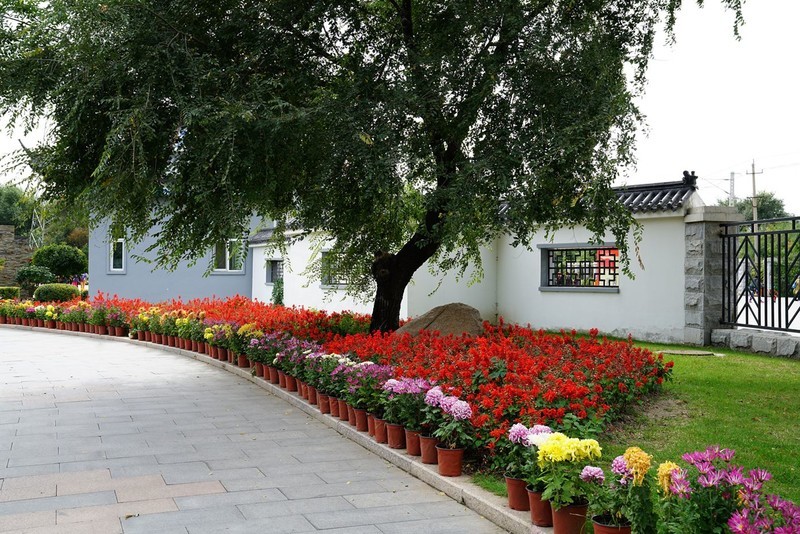 索尼(sony)A7R II 样张图-ZOL中关村在线