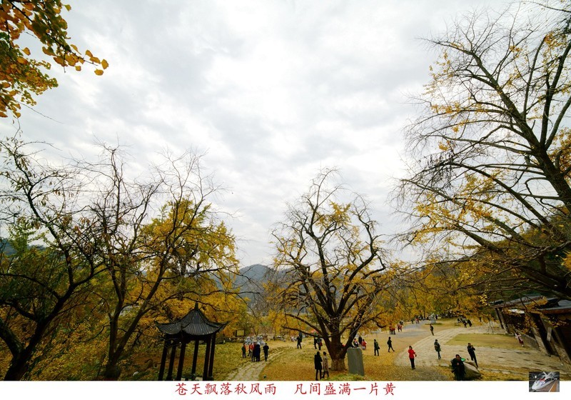 索尼(sony)A7R II 样张图-ZOL中关村在线